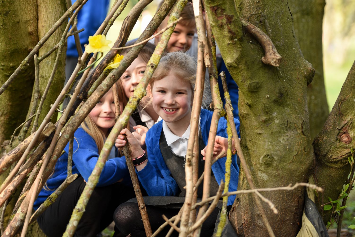 4 – Birdwell Primary School